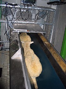 Jarvis Engineering TechnologiesStunning & Stimulation - Jarvis ...